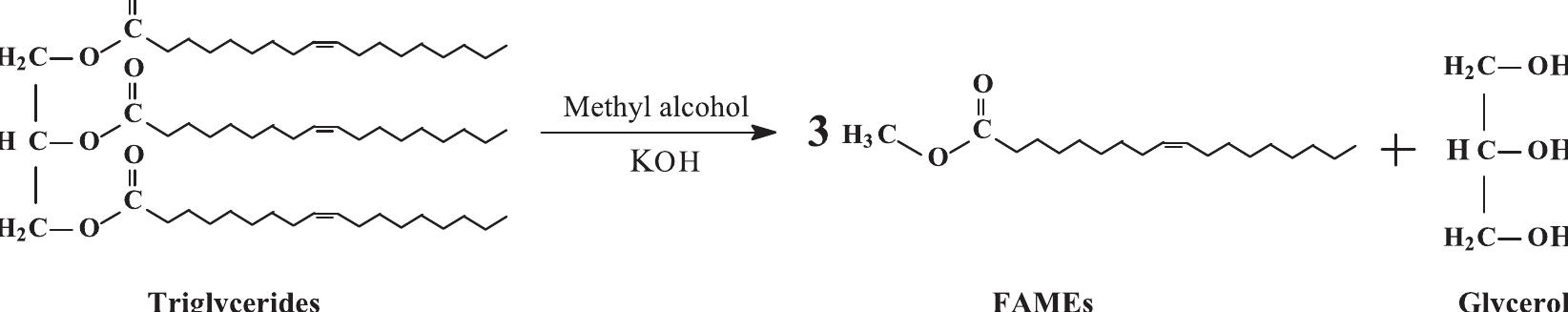 Transesterification reaction of triglycerides to produce