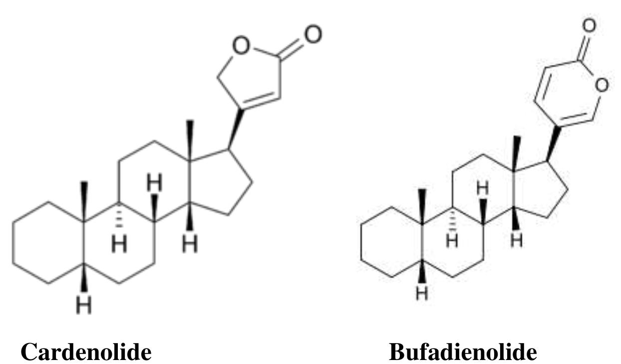 1: structure of two classes of cardiac glycosides: