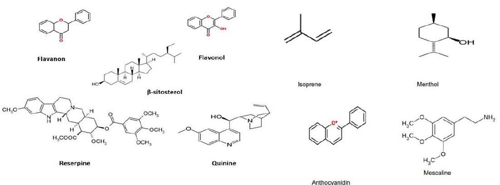 Chemical structure of bioactive compounds in the medicinal