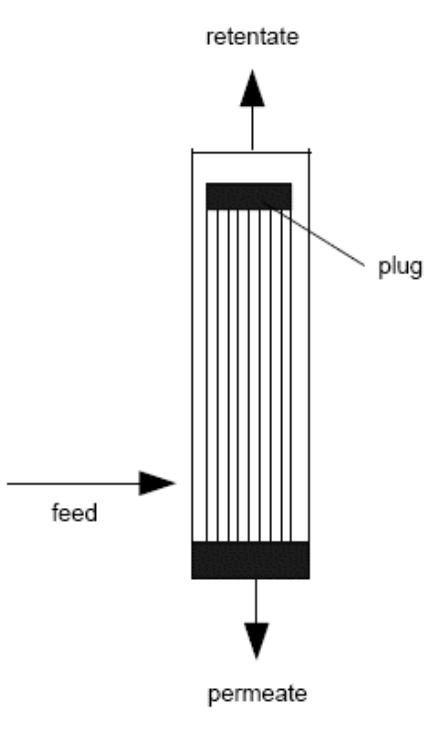 Schematic drawing of a hollow-fiber module the hollow fiber