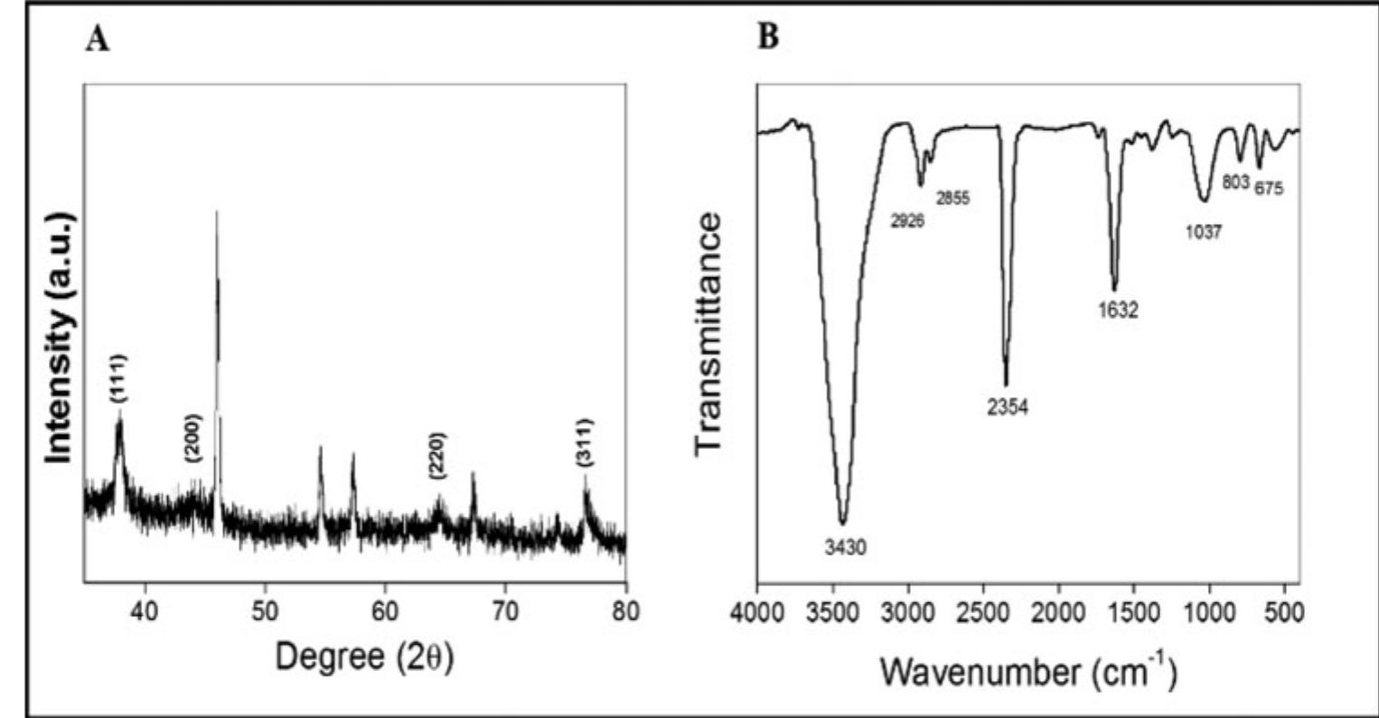 Xrd analysis (a) and ftir measurements of silver