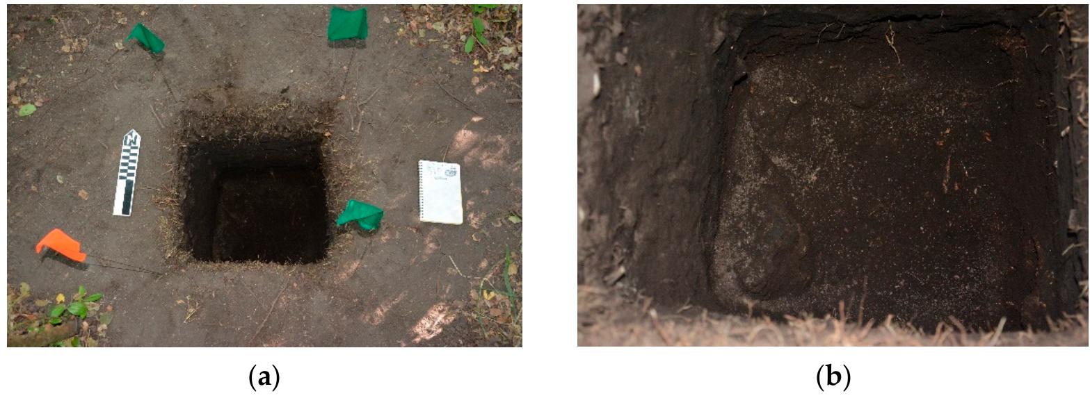 (a): test pit 4. (b): close up of test pit 4 showing dark