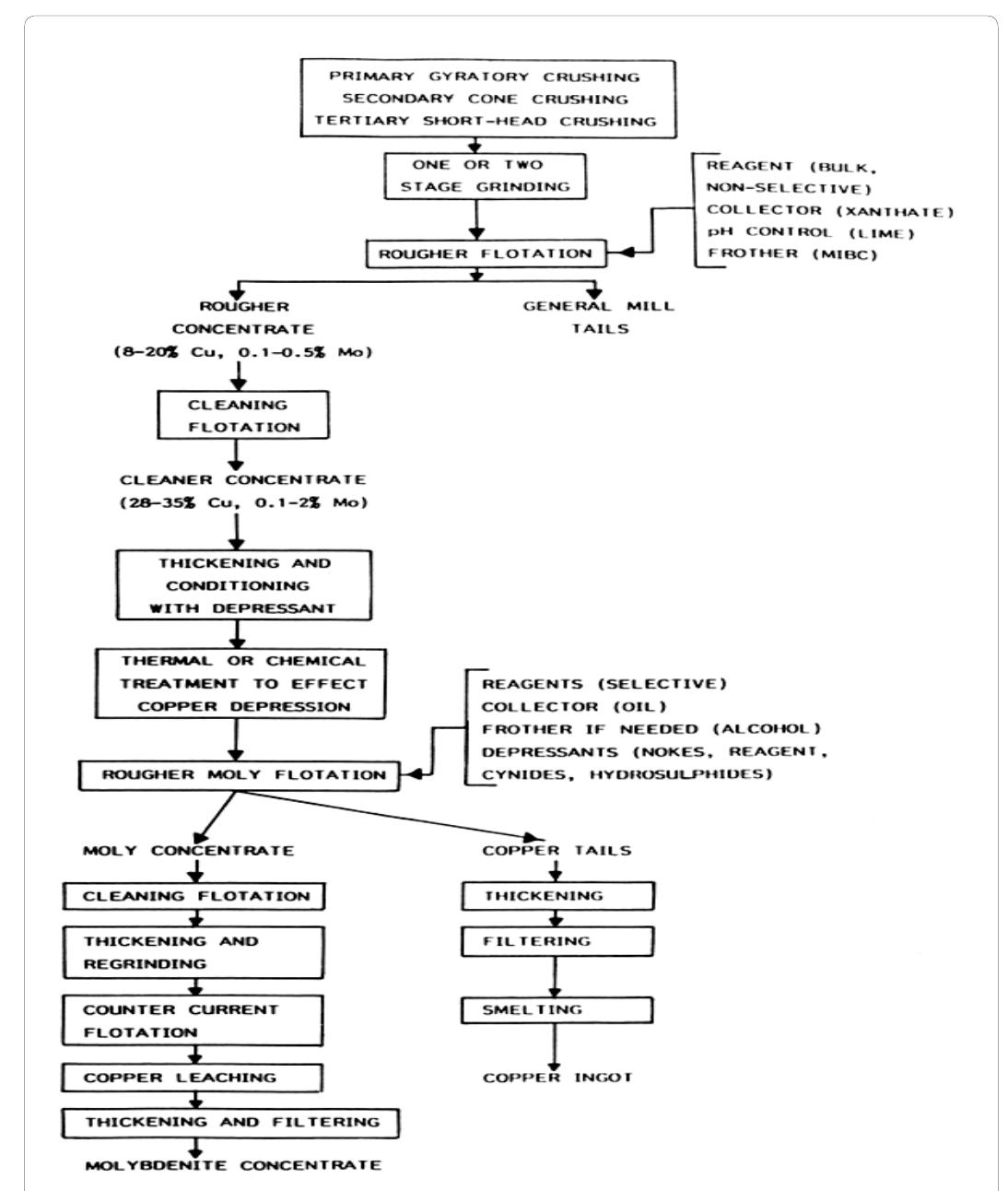 Typical copper and molybdenum differential flotation