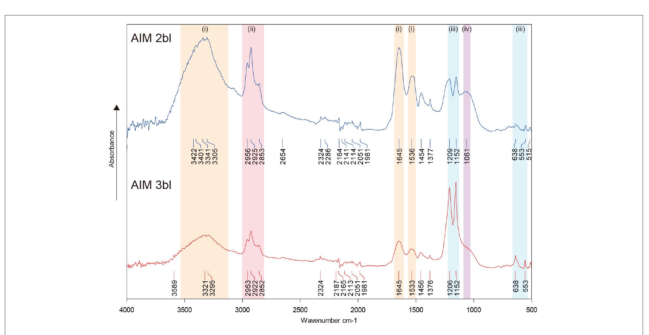 | ft-ir spectra of shell organic matrices. the signals in