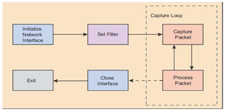 Normal program flow of a pcap application most of the packet