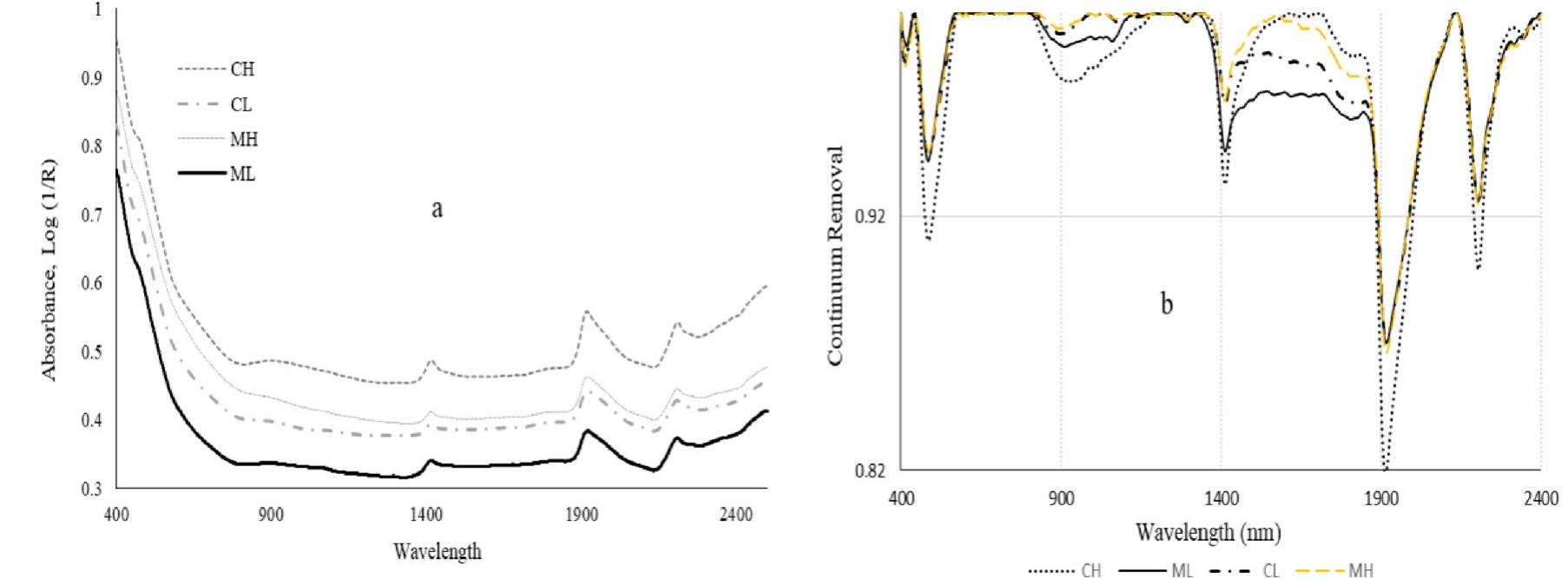Average absorbance spectra curve (a), continuum removal on
