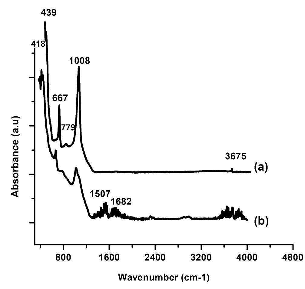 Ftir spectra of solid precursors a based on cordierite; b