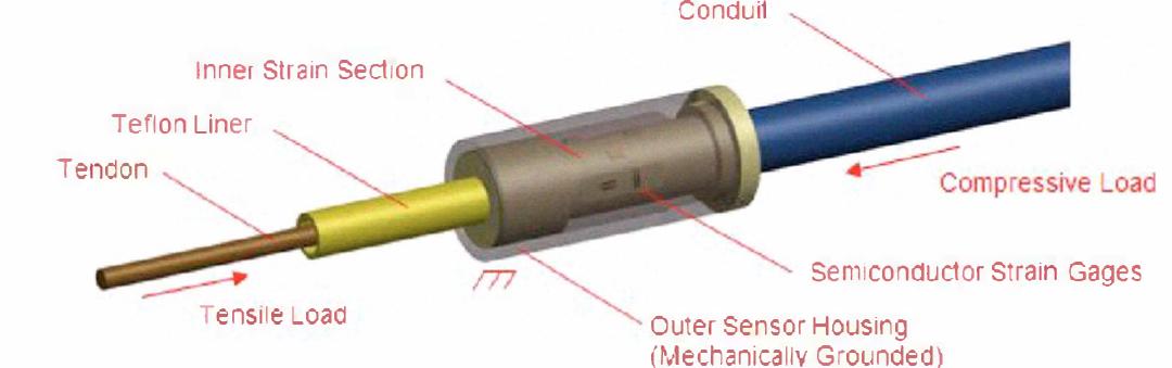 Anatomy of the tendon tension sensors r2’s finger actuation