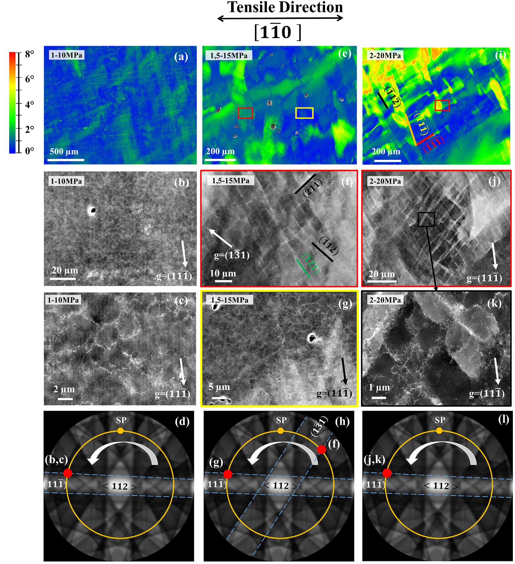 Microstructure of the cu sample after the different loading