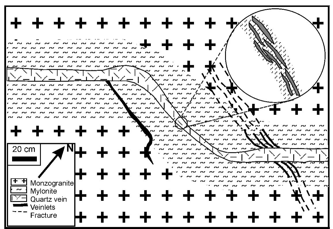 Sketch map (plan view) of the shear vein at novo vietnam.