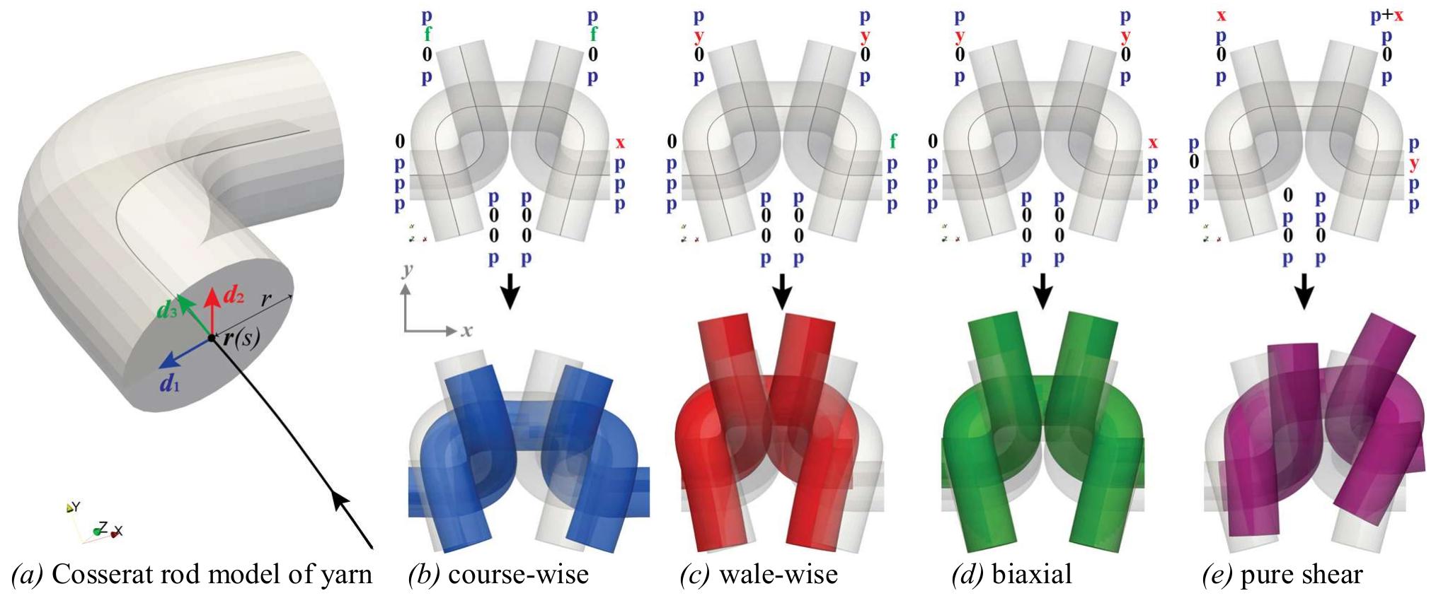 (a) modelling of quarter loop yarn curve as cosserat rod.