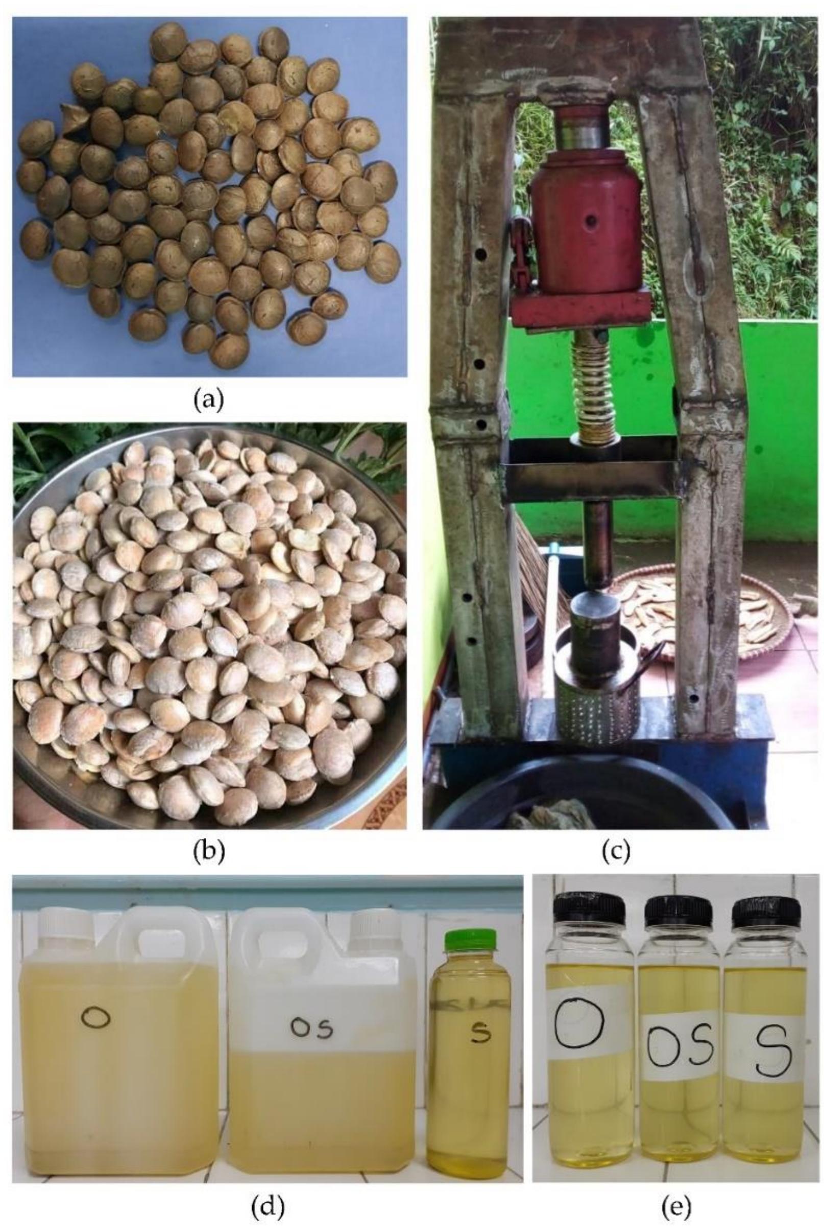 Sacha inchi oil extraction. (a) sacha inchi seeds with shell