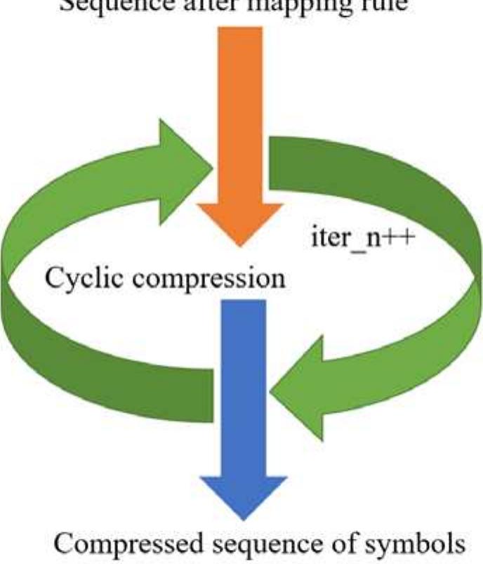 Schematic diagram of the rule of cyclic compression
