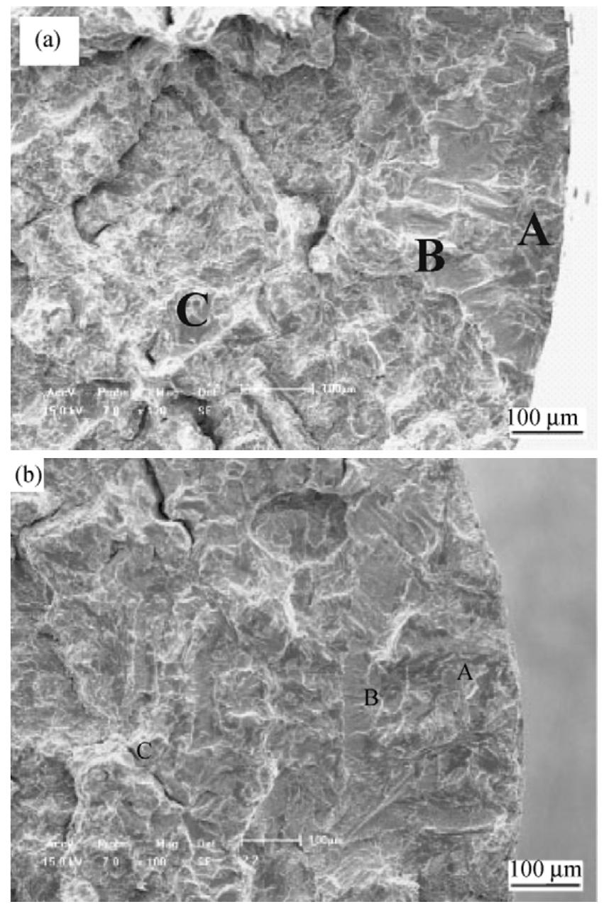 Fractographs of the fatigue fracture surface of (a) no rx