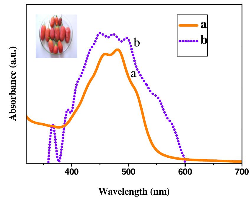 Uv-vis absorption spectrum of (a) the dye solution obtained