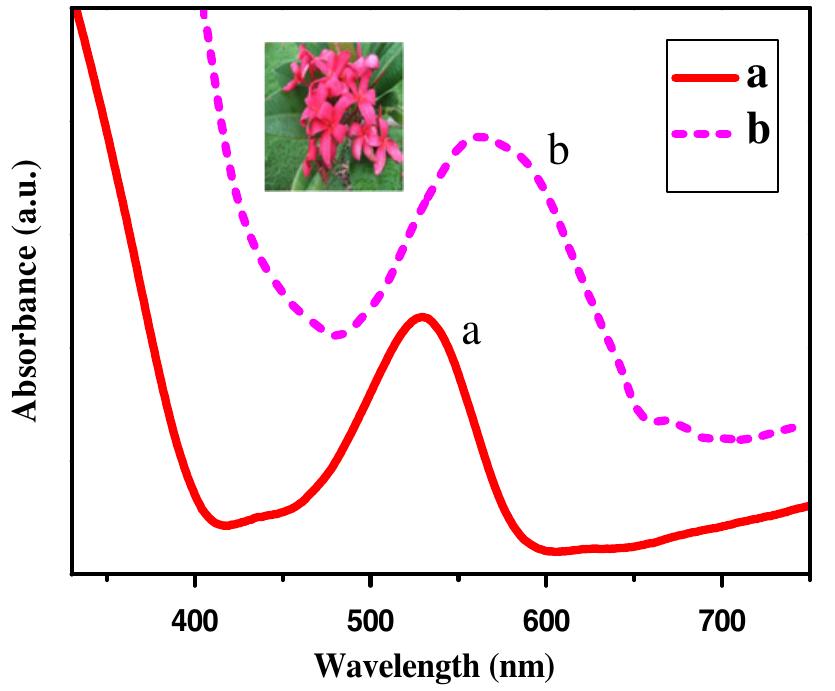 Uv-vis absorption spectrum of (a) the dye solution obtained