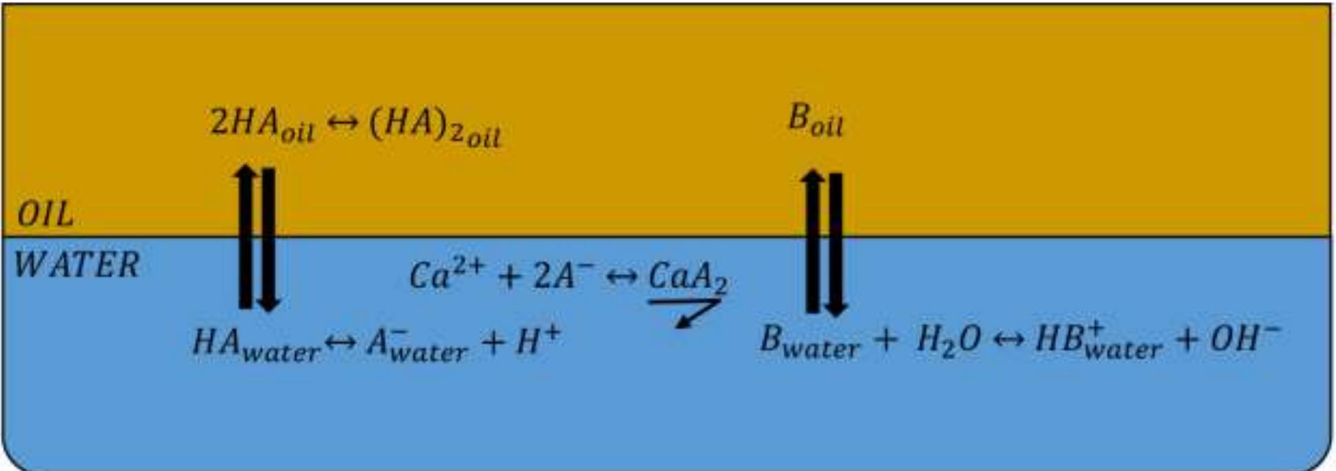 Schematic illustration of the acid and base equilibria that