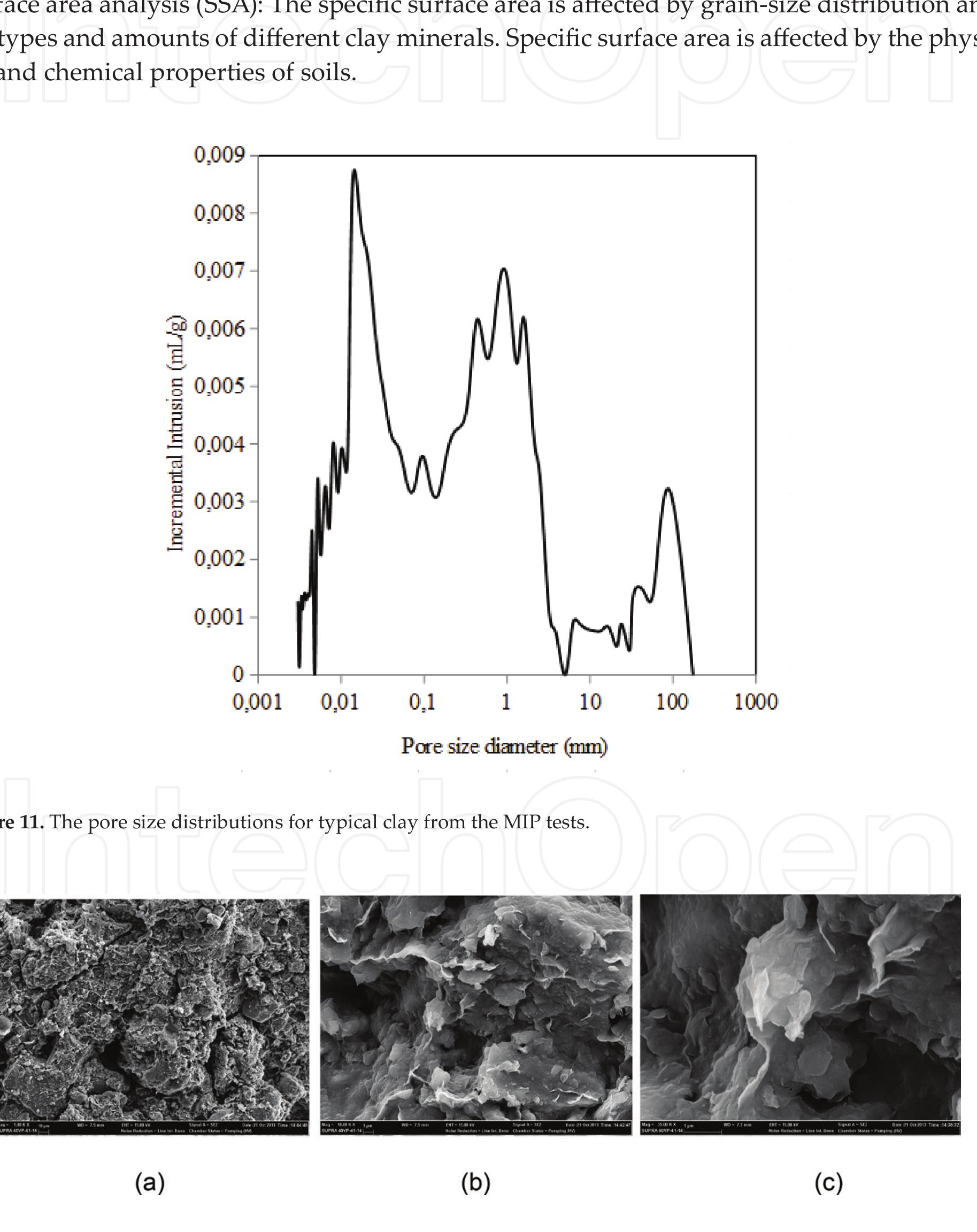 The sem images of typical clay for different magnification