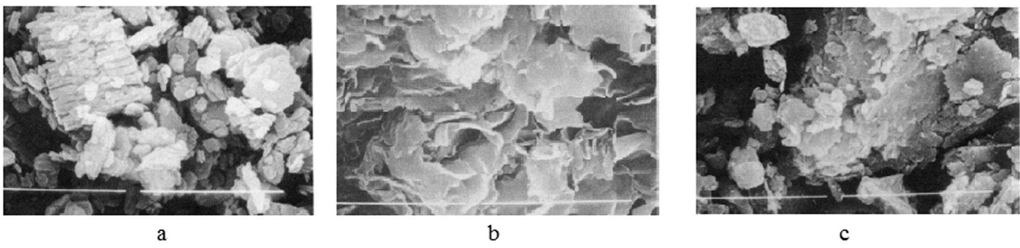 Sem image of clay. (a) kaolinite, (b) montmorillonite, (c)