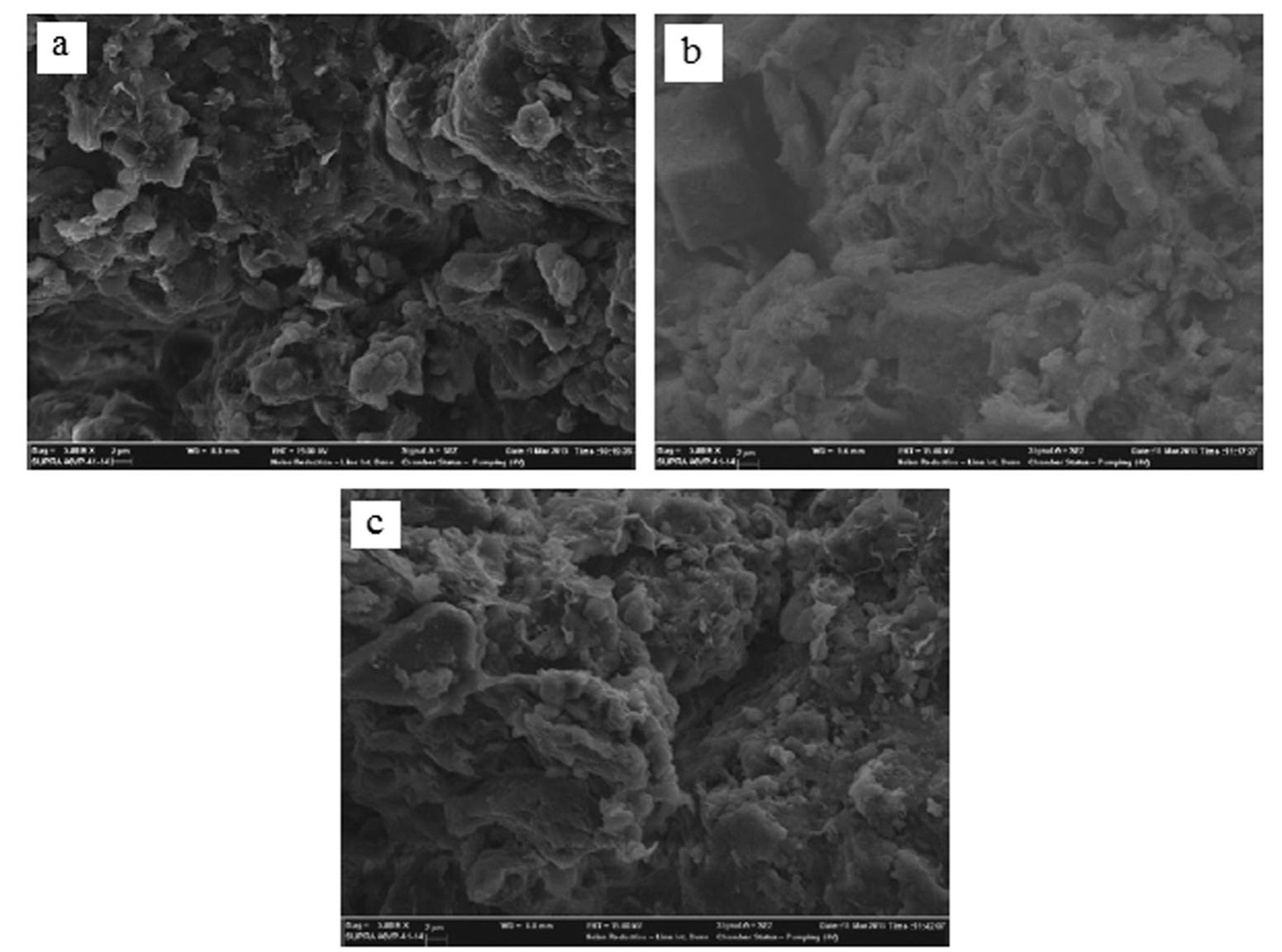 Sem images of mixtures (magnification x5,000) (a) 10% clay