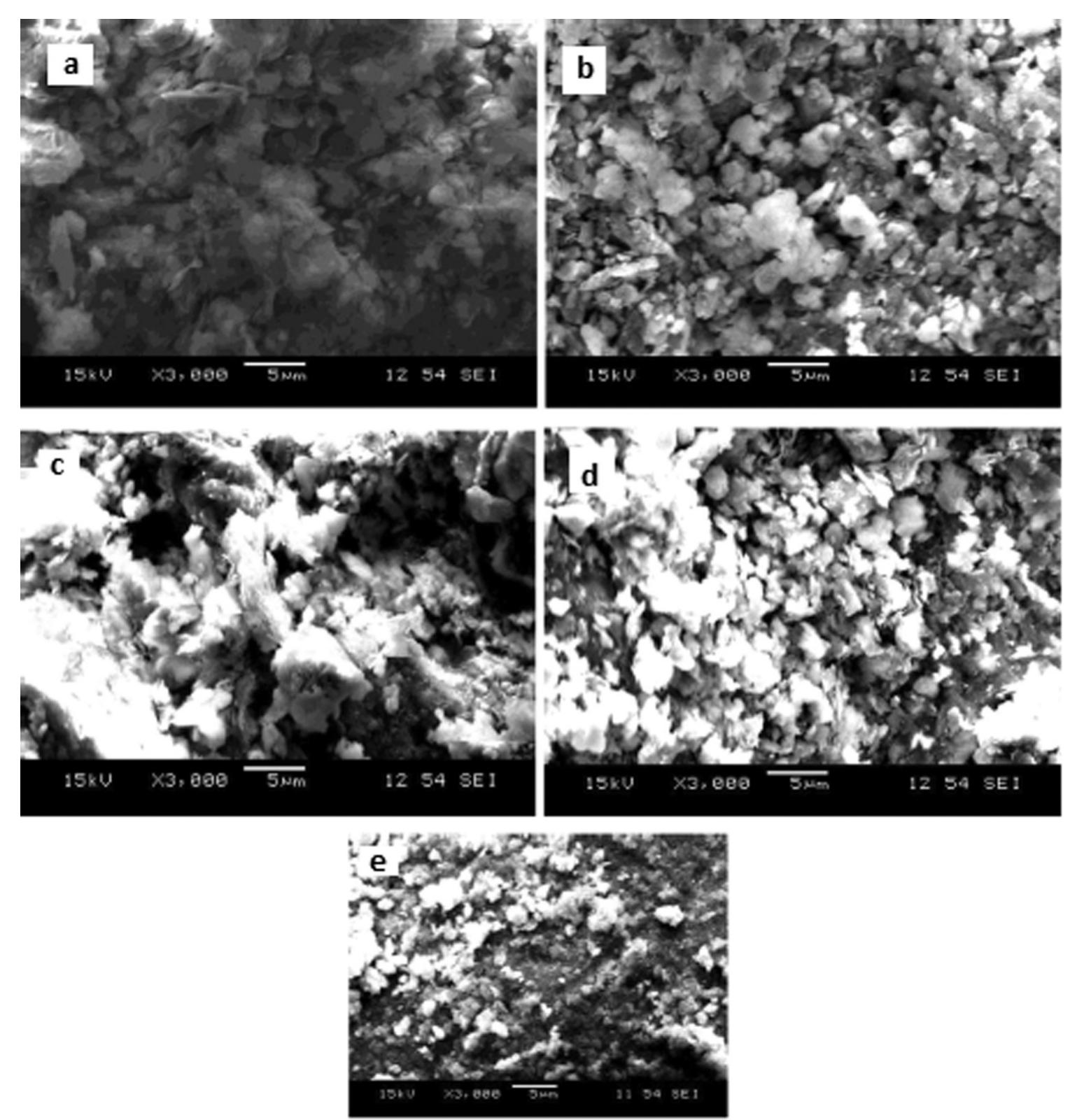 Sem images (a) marine clay, (b) improved marine clay with