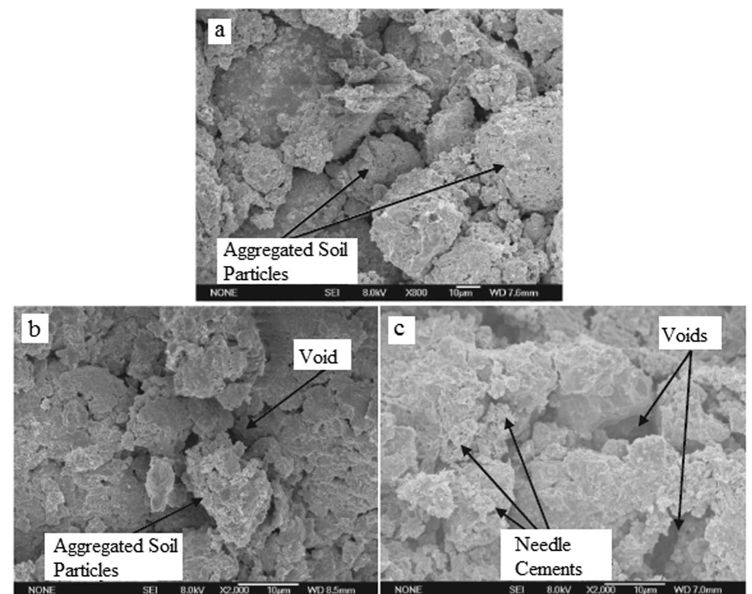 Sem micrographs of saline soil treated with 15% of lime