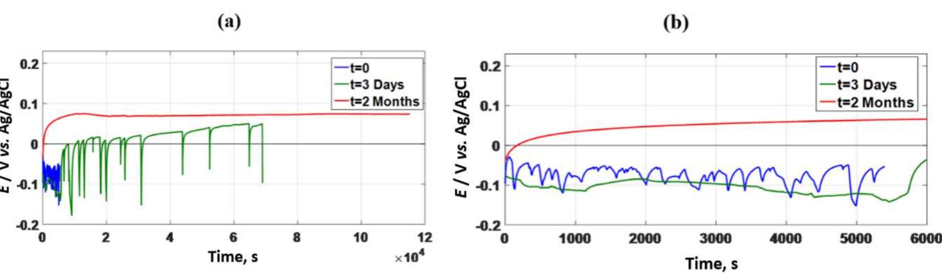 Illustrates the ocp evolution for the ass 304l in the nacl