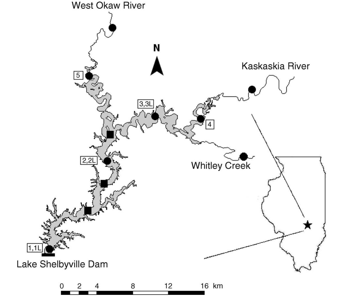 Fic. 1. map showing the lake shelbyville (illinois, usa)