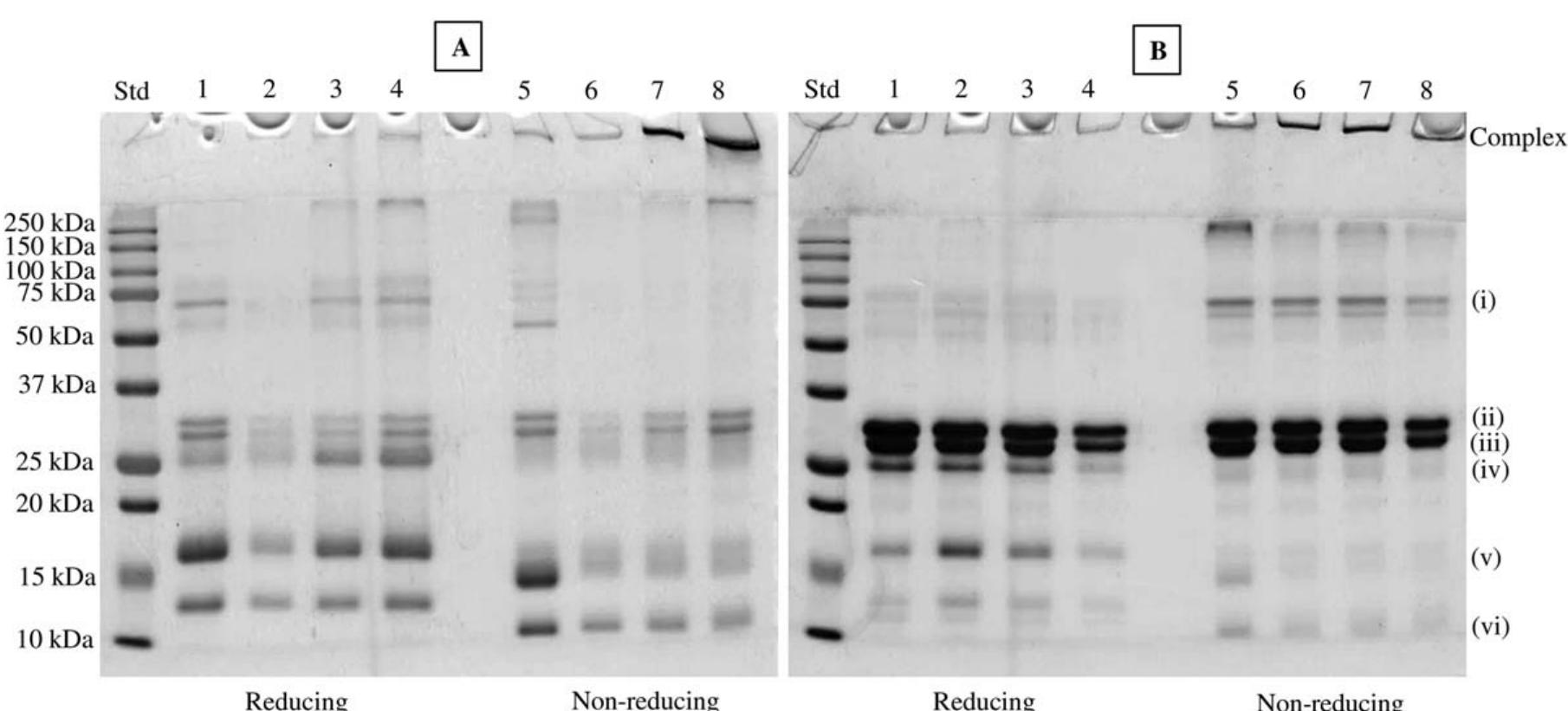 Sds-page patterns of (a) serum and (b) micellar phases of