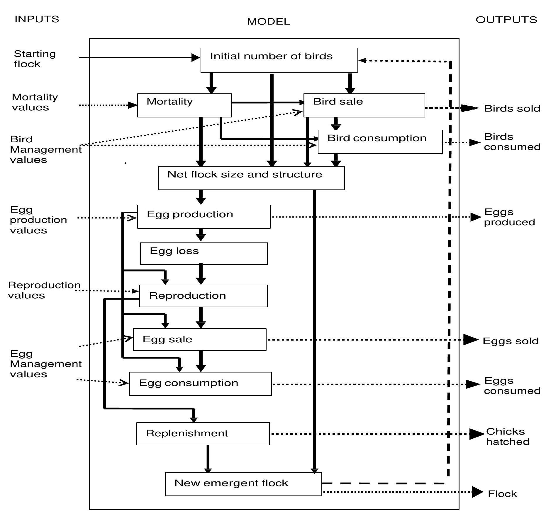 Schematic representation of sequences of events in the model