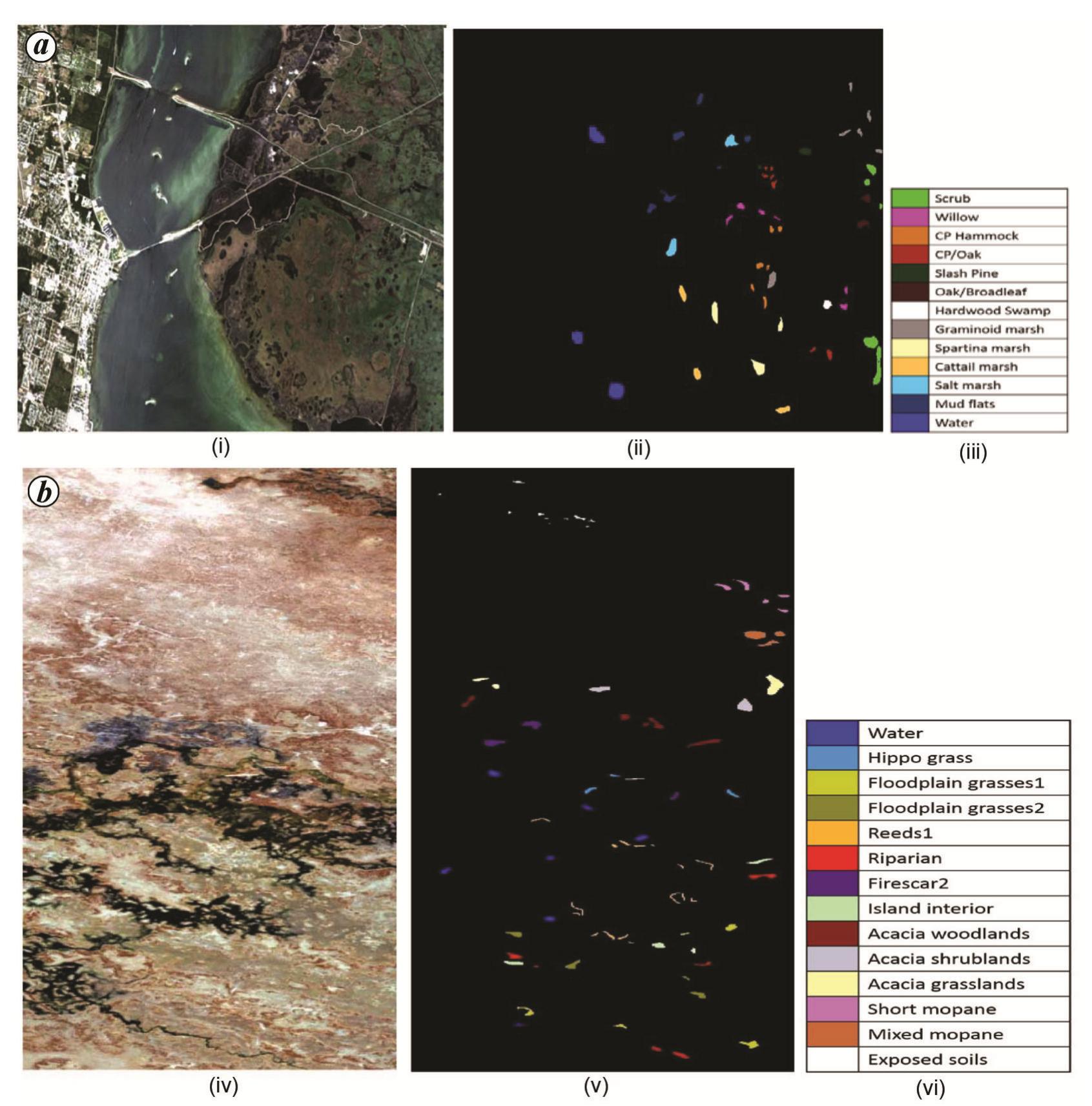 Hyperspectral image (his) dataset. a, kennedy space centre