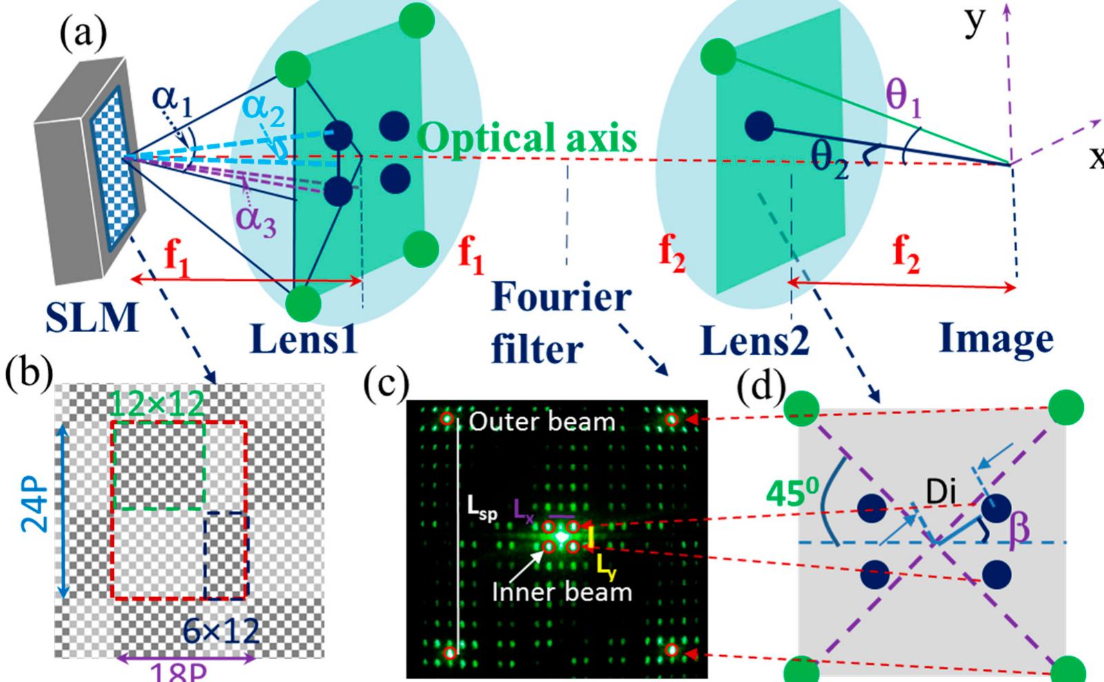 (a) schematic of the optical setup for the holographic