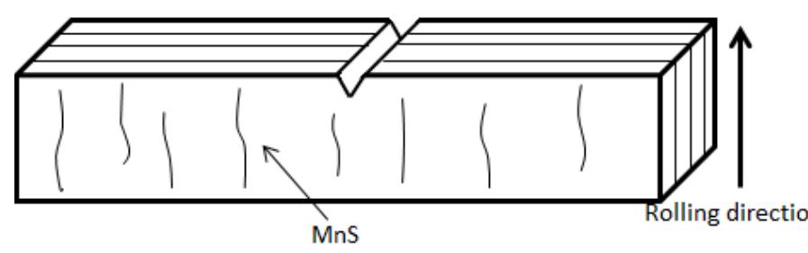 Sketch of the transverse charpy specimens showing the