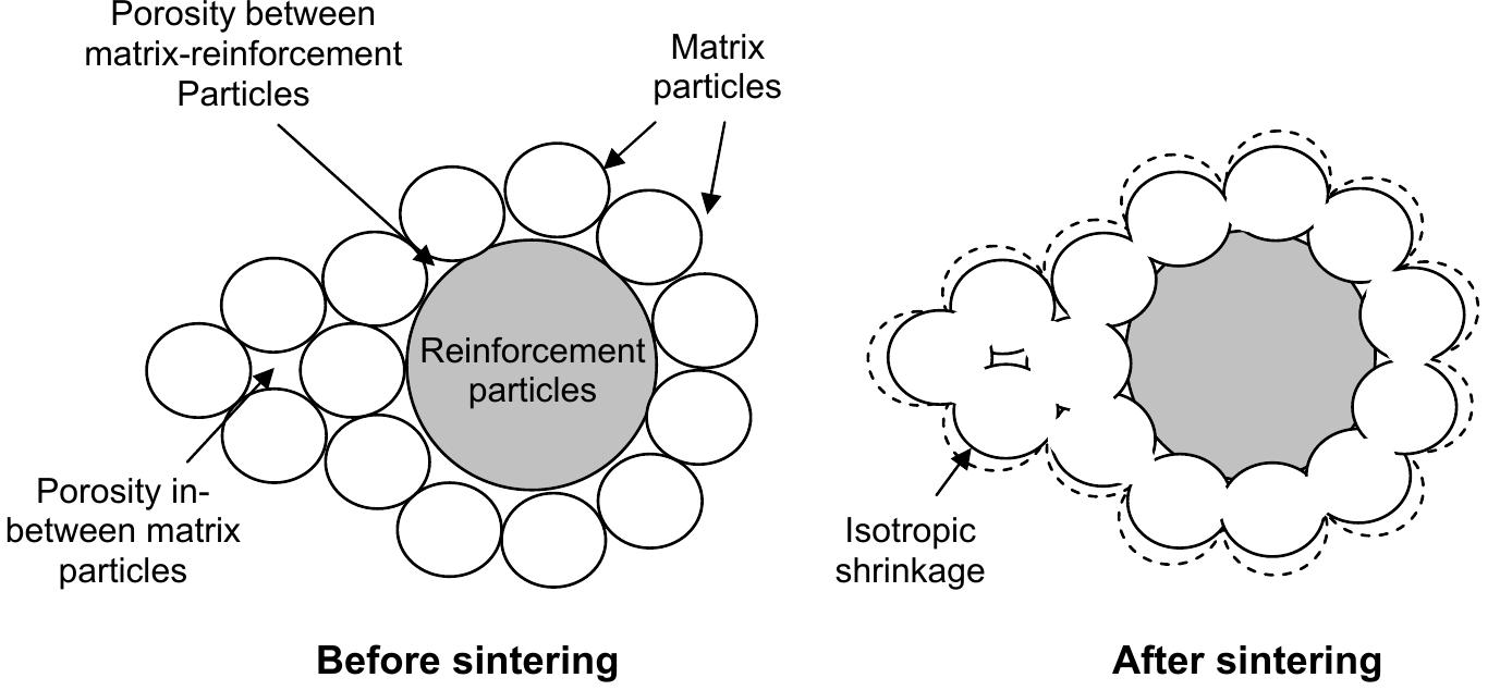 Nature of porosity and densification behavior of matrix