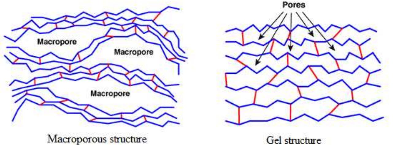 Structure of macro-porous and gel ion exchangers.