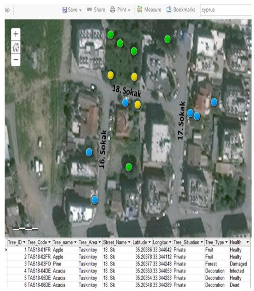 Representation of trees with arcmap. if the project is