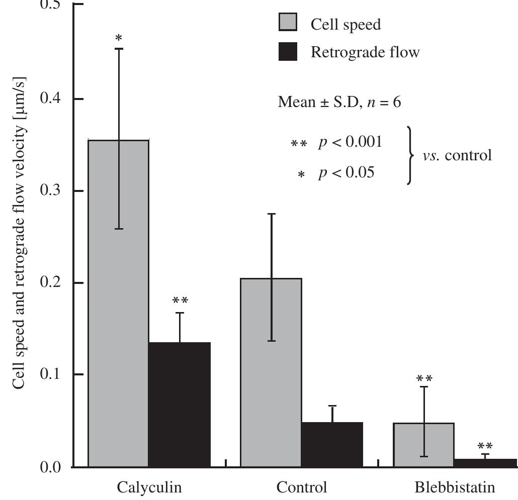 Comparison of cell speed and retrograde flow. cell speed was