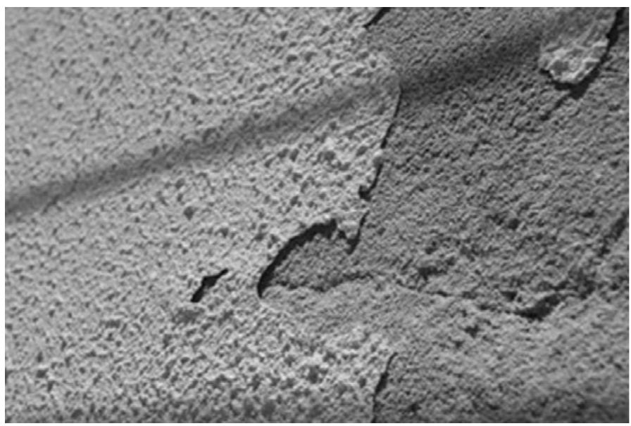 Example of a “textured” paint surface texture. fig. 4.