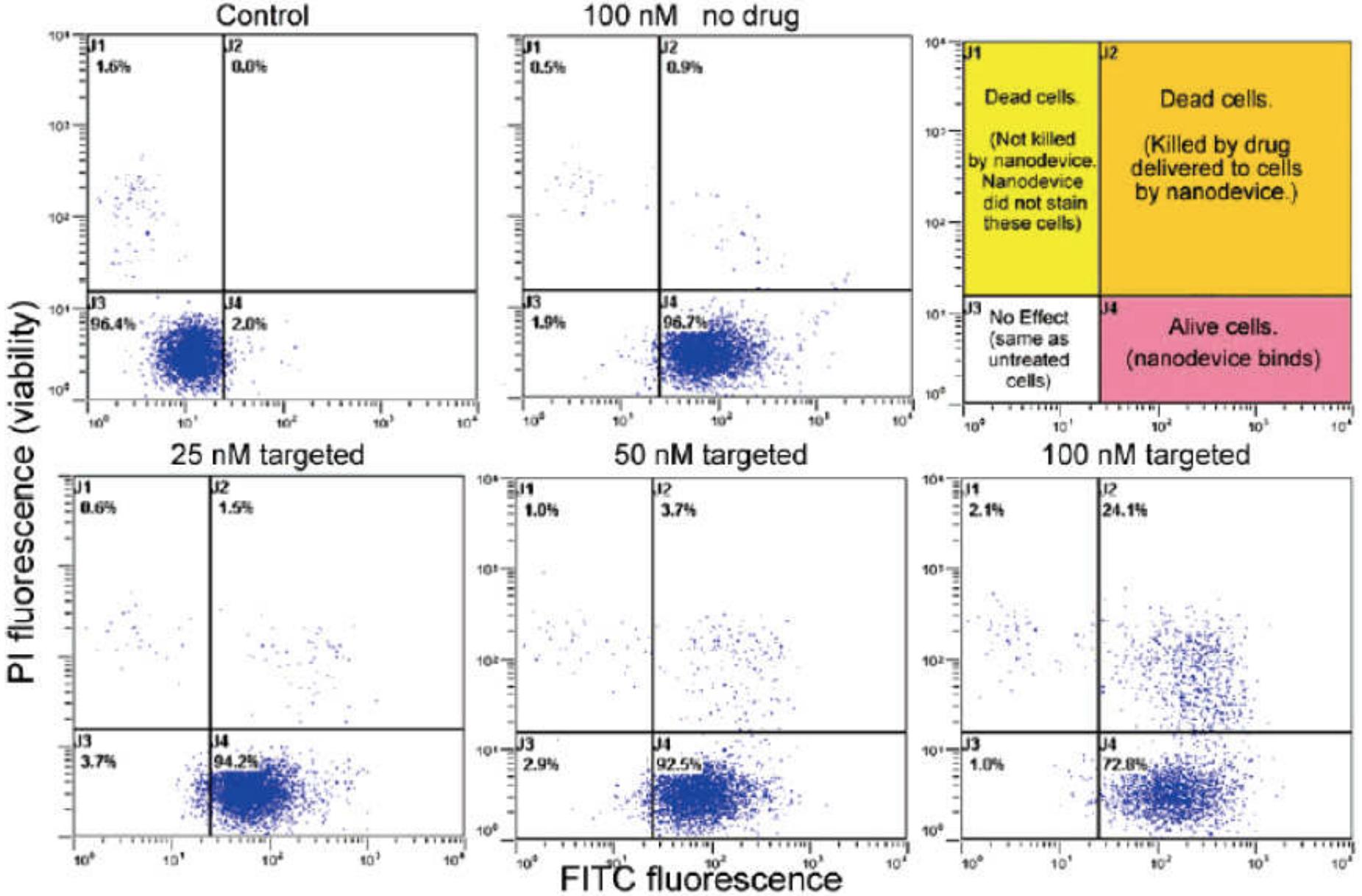 Flow cytometry of kb cells with folate receptors