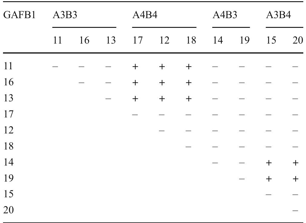 Mating reactions between sibling homokaryotic isolates 11-20