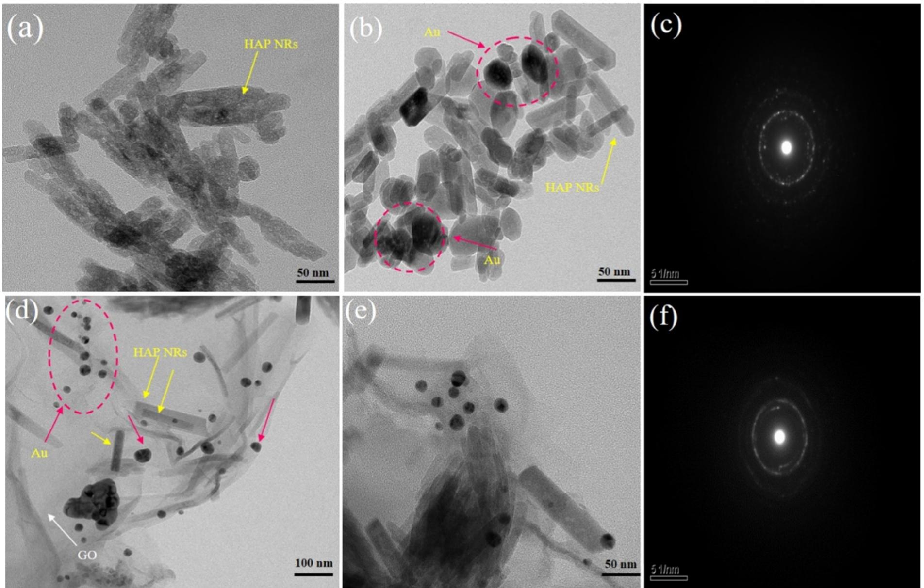 Tem image of (a) hap, (b) hap/au, (c) saed pattern of