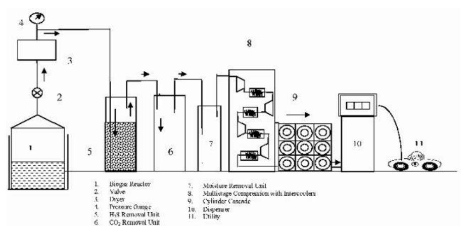 Schematic layout of a complete biogas reacto1 with a
