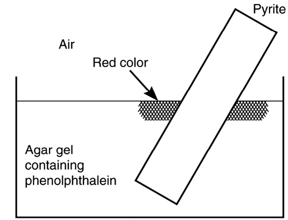 Formation of cathodic zone during the dissolution of pyrite