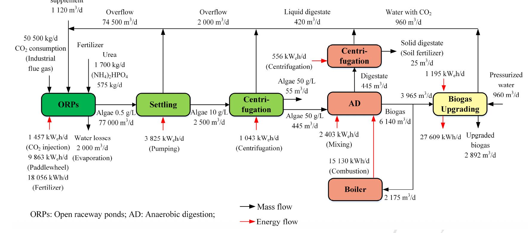 Flow diagram of the anaerobic digestion system without