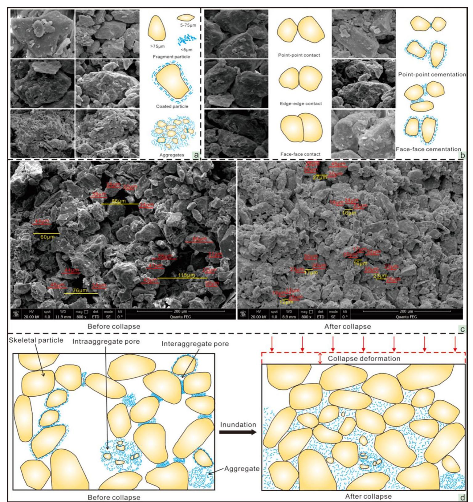 Conceptual model of collapsible loess. a: the skeleton