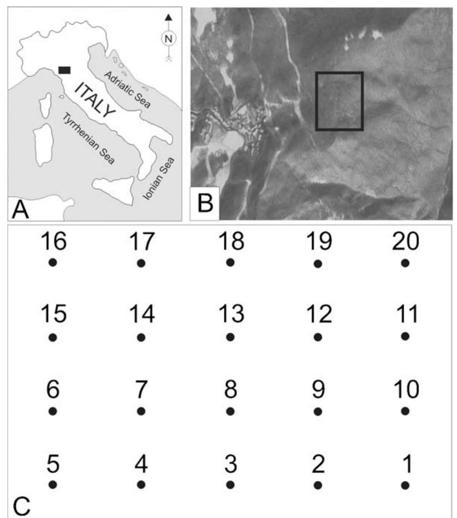 Figure 2 - from A new methodology to infer the singing