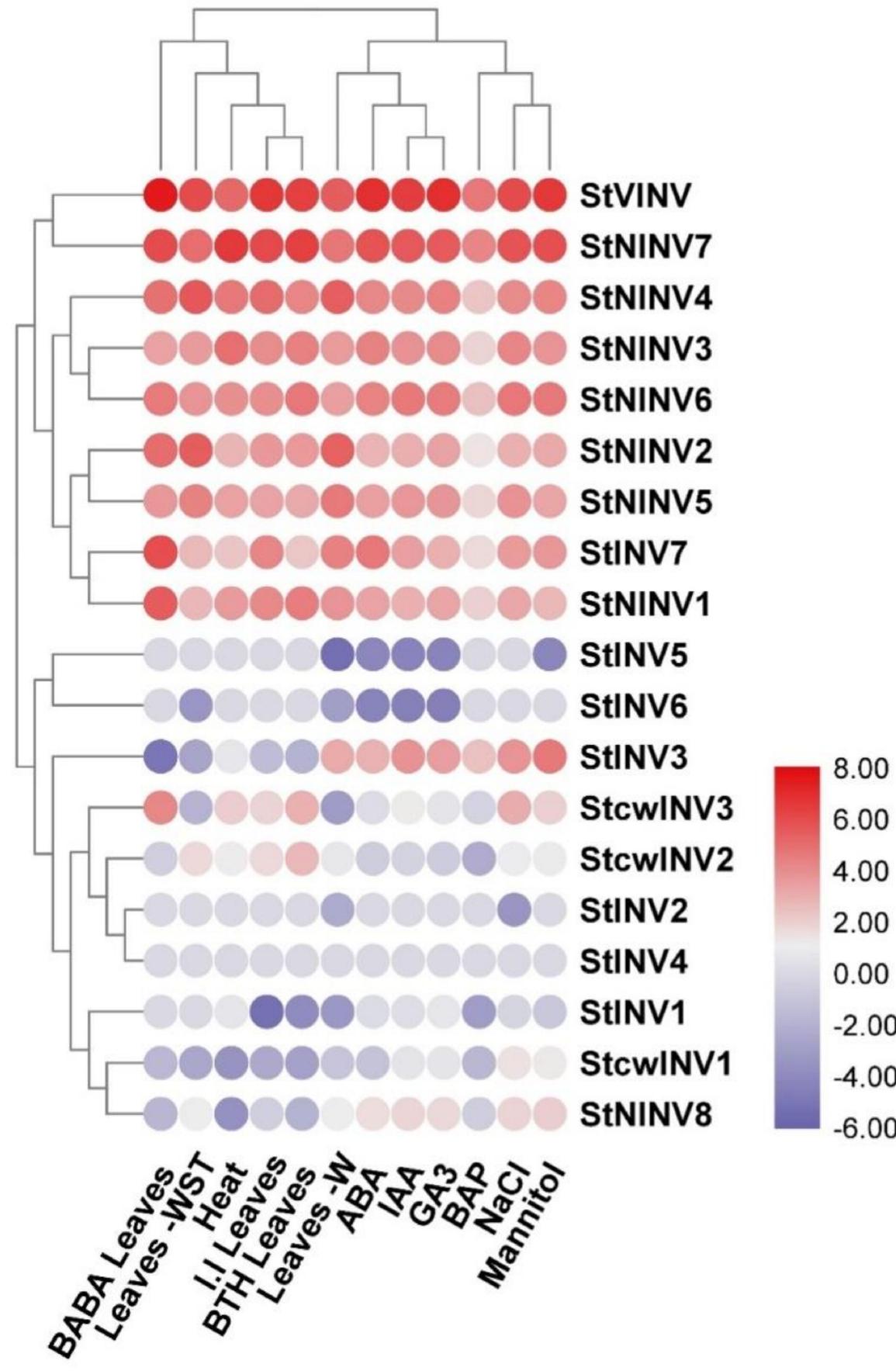 Heat map showing expression profile of invertase genes under