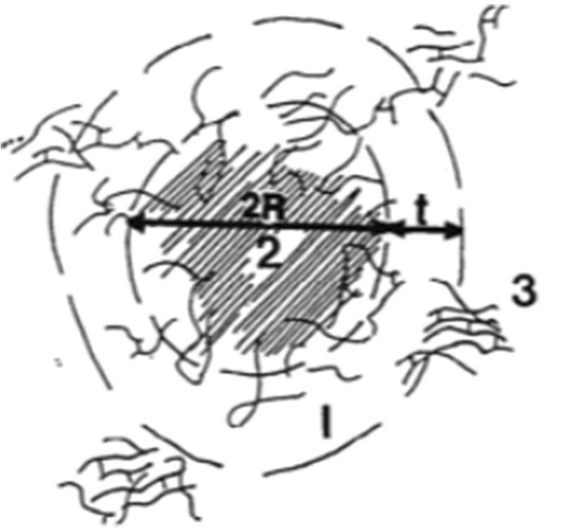 Schematic representation of composite electrolyte. symbols