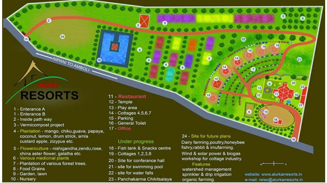 Activities: the immense creativity, artistic nature and a