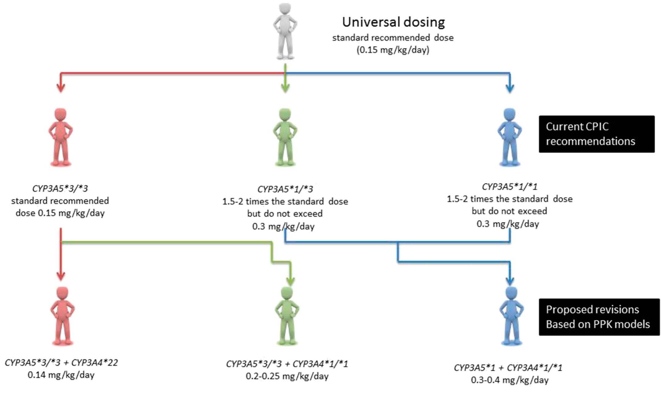 Multiple poppk models describing the pk effect of cyp3a5*3